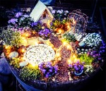 Enchanting 30 Irish Fairy Garden Ideas for St. Patrick’s Day – Blissful ...